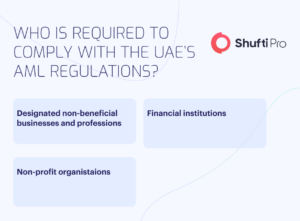 A Guide to Anti-Money Laundering (AML) Regulations in the UAE