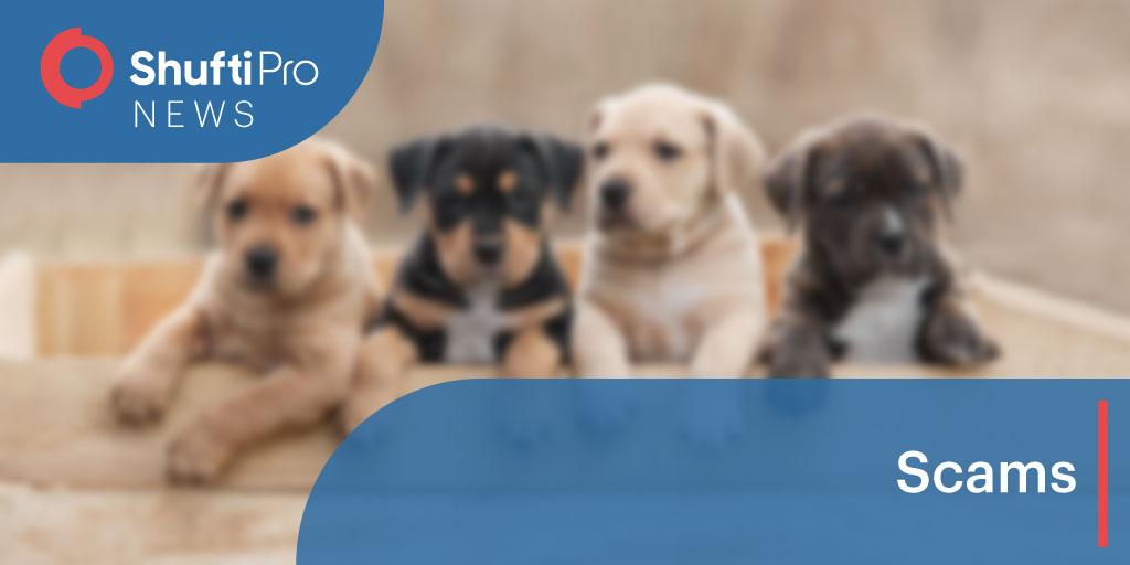 Beware of Puppy Scams This Holiday Season - BBB